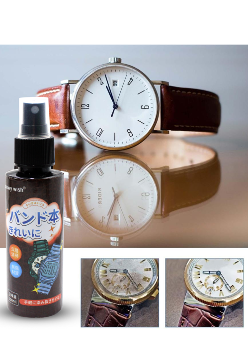 SW Watch Cleaning Solution 100ml | Lazada PH