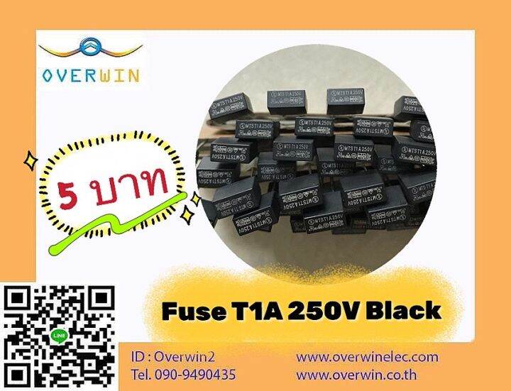 Fuse T1A 250V Black. (1 ชุด มี 10 ตัว) | Lazada.co.th