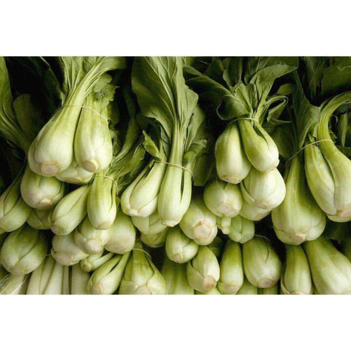 Pakchoi Pechay Green Shingkang repacked seeds gardening | Lazada PH