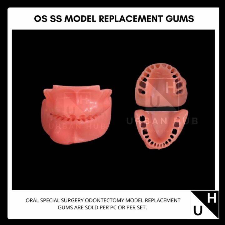 ORAL SPECIAL SURGERY MODEL GUM RUBBER REPLACEMENT | Lazada PH