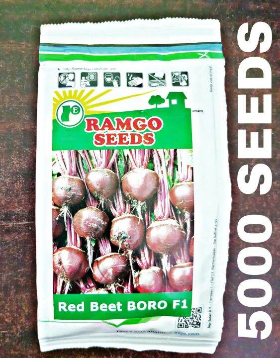 BORO F1 HYBRID RED BEET SEEDS BEJO (5000 SEEDS) by RAMGO SEEDS | Lazada PH