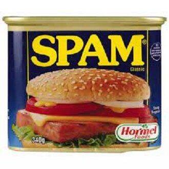 Hormel Spam Classic Luncheon Meet 340g | Lazada PH