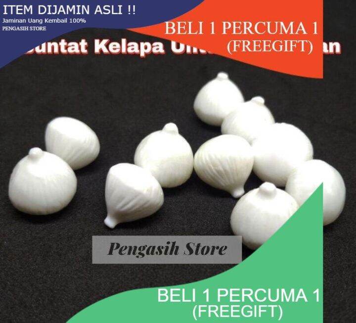 Sebiji Buntat Kelapa Untuk Perubatan Asli Dijamin💯 | Lazada