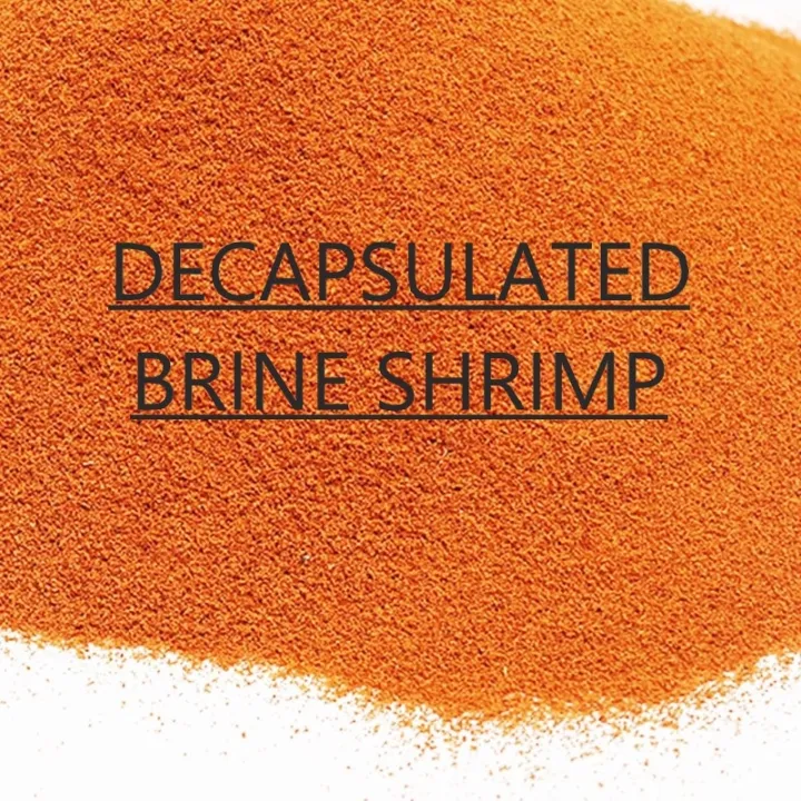 Decapsulated Brine Shrimp Premium Quality (no hatching) fish food ...