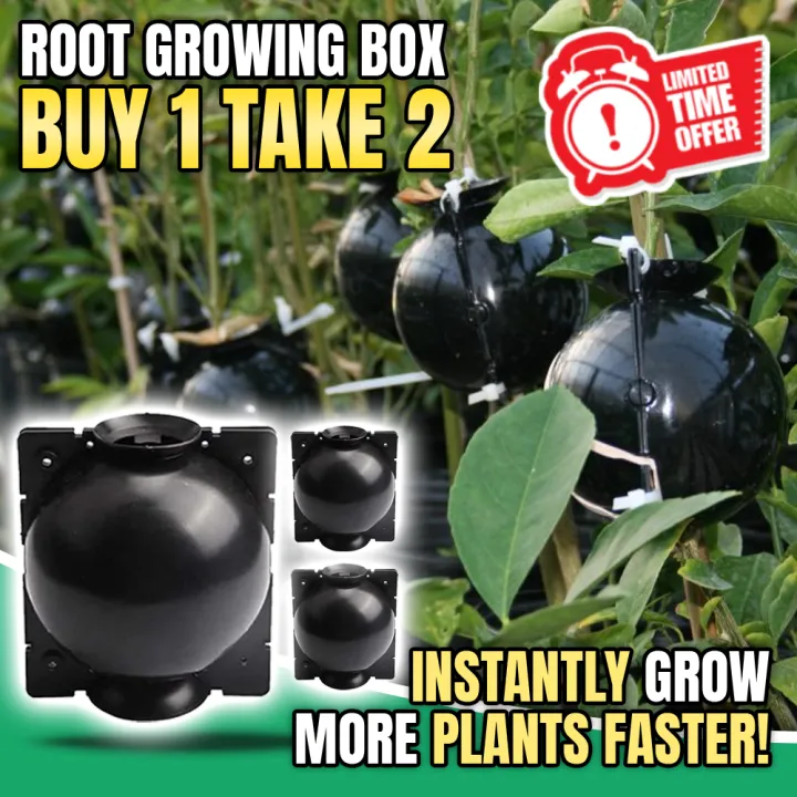 Buy 1 Take 2 Reusable Root Growing Box - Plant Propagation Device for ...