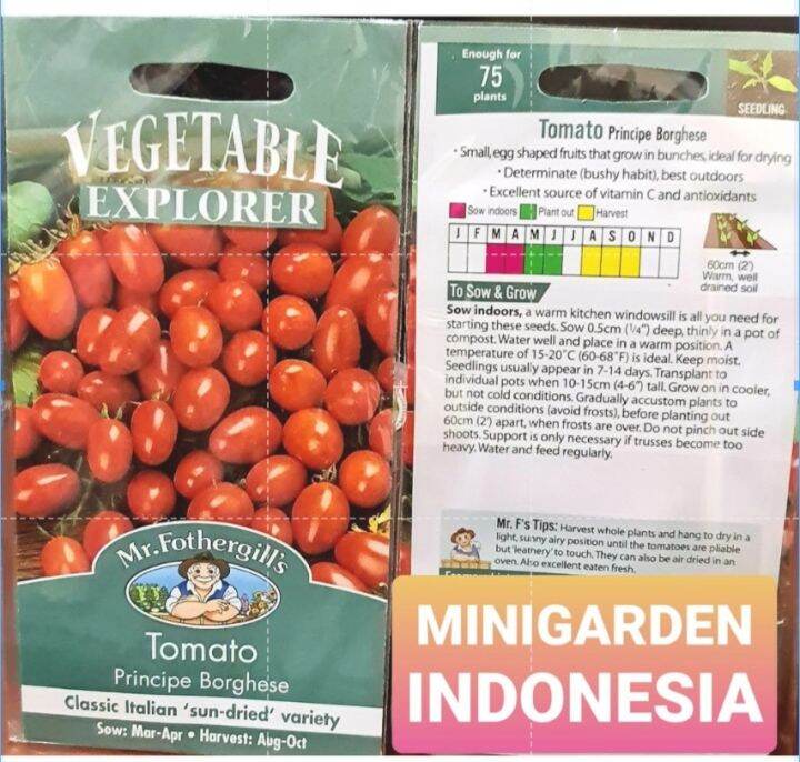 BENIH TOMAT MERAH PRINCIPE BORGHESE PACK 100 BIJI bibit sayur buah tomat cherry import F1 Mr ...