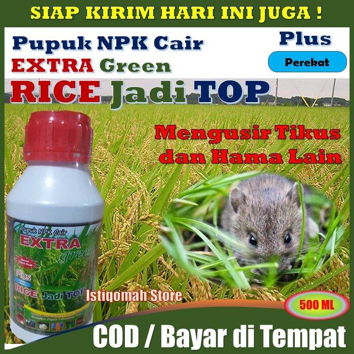 RICE JADI TOP Pupuk NPK Cair Extra Green Pupuk Pelebat Padi + Tidak disukai Tikus Dan Hama ...