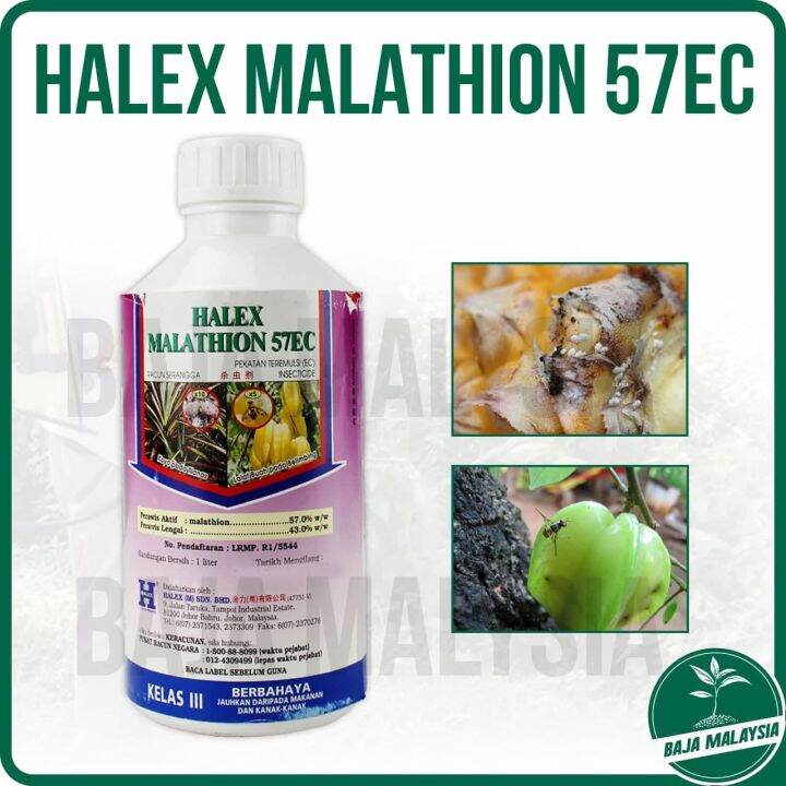 HALEX Malathion 57 EC Racun Serangga Tanaman 1 Liter | Lazada