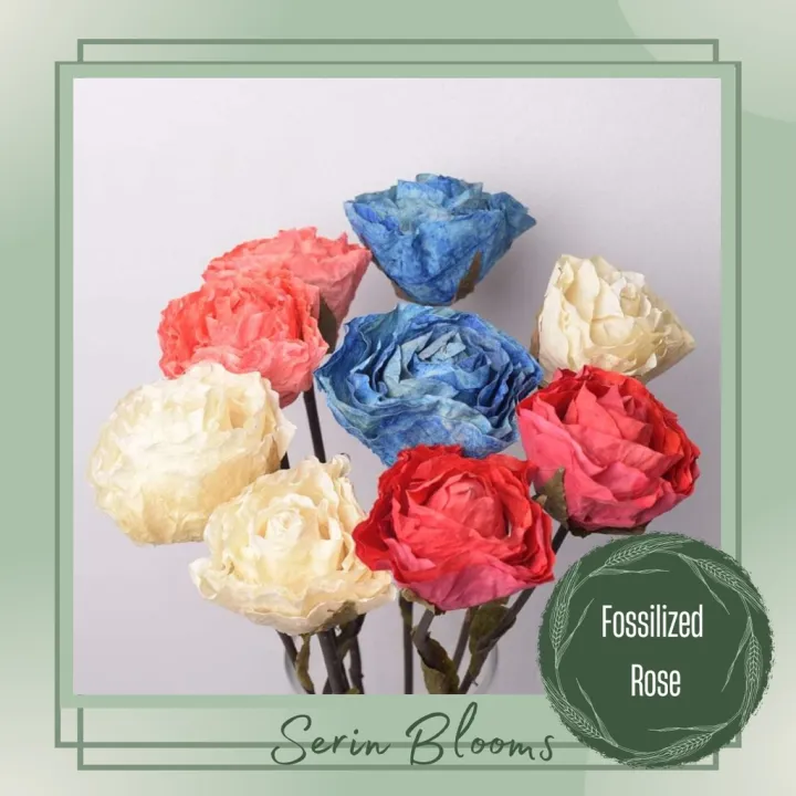Ang mainit na benta Fossilized Rose(1 stem only) | Lazada PH