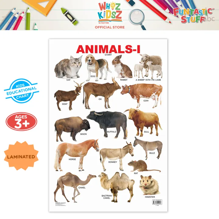 Whiz Kidsz Animals-I Laminated Wall Chart, Educational Chart for Kids ...