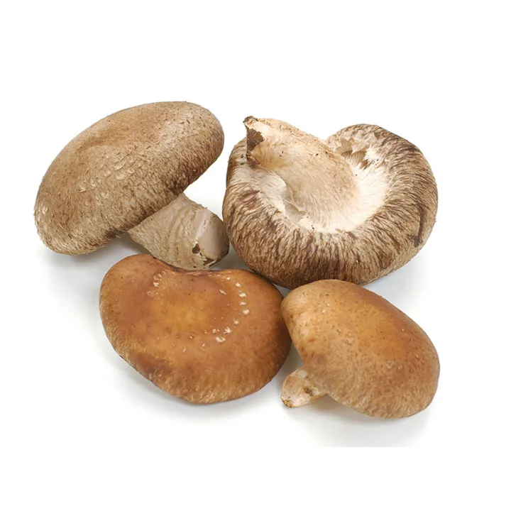 Fresh Shiitake Mushroom 200g | Lazada PH