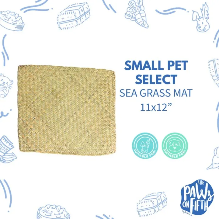 Small Pet Select Sea Grass Mat (Large) | Lazada PH