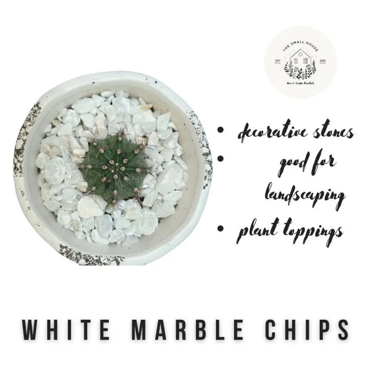 1KG S10 WHITE MARBLE CHIP PEBBLES FOR PLANT TOPPING, LANDSCAPING ...