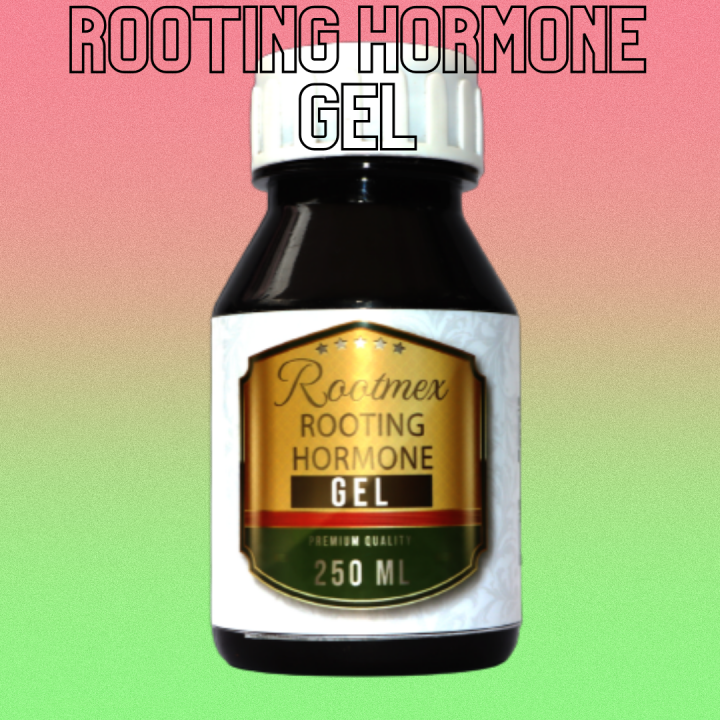 ROOTTING HORMONE GEL 250ML FOR PLANTS MAS MABILIS NA PAGKAKAROON NG ...