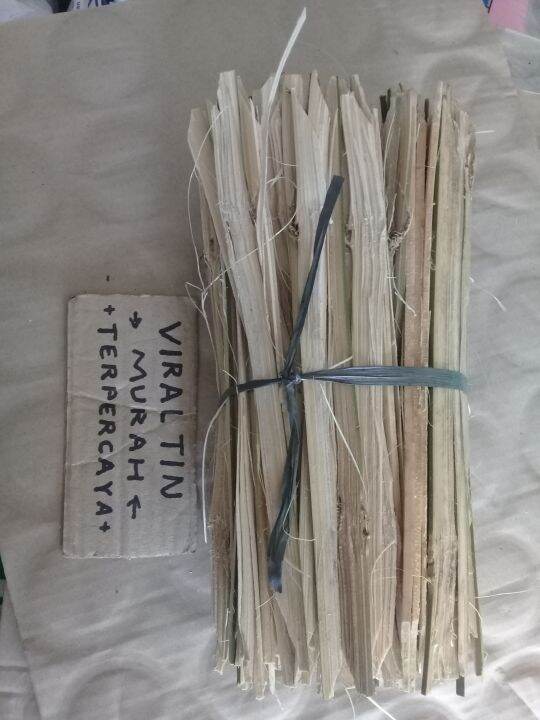 SUJEN BAMBU PENJEPIT PLASTIK MULSA BERAT 800 GR PANJANG 21 CM | Lazada ...