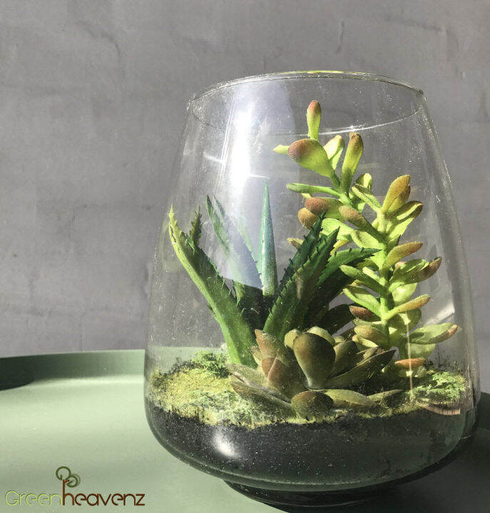 - Round Tall Glass Pot Pasu Kaca Bulat Tinggi Transparent 1 | Lazada