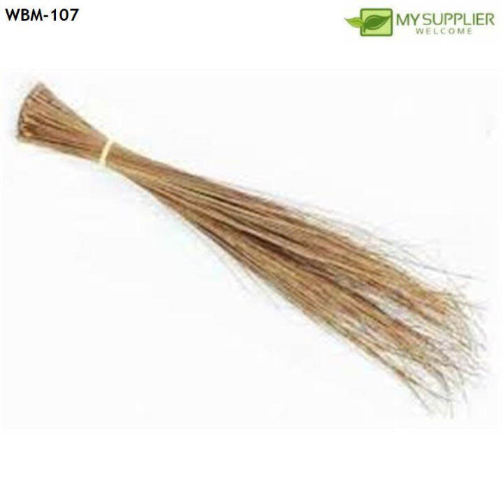 Coconut Lidi Broom/Sapu Lidi * | Lazada