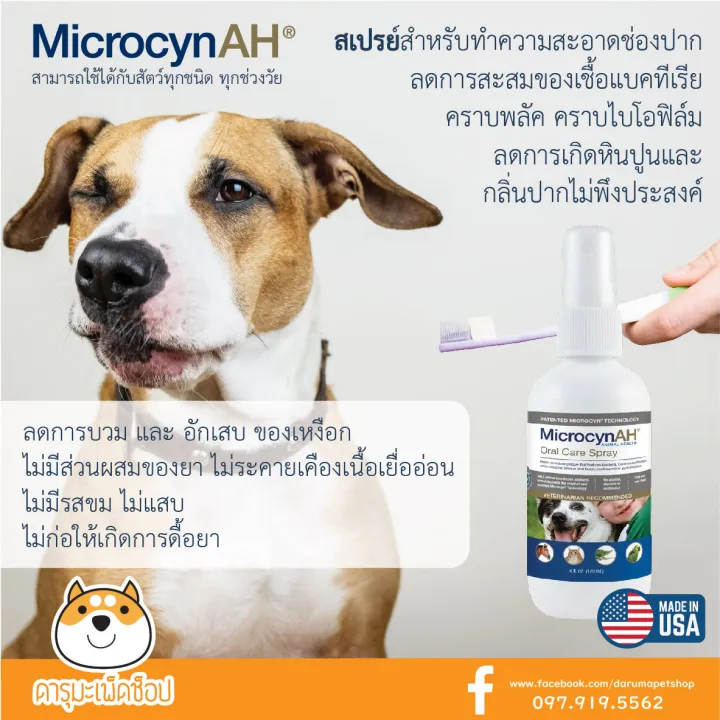 สุนัข แมว แผลในปาก ขจัดคราบหินปูน* Microcyn AHⓇ Oral Care Spray สำหรับ ...