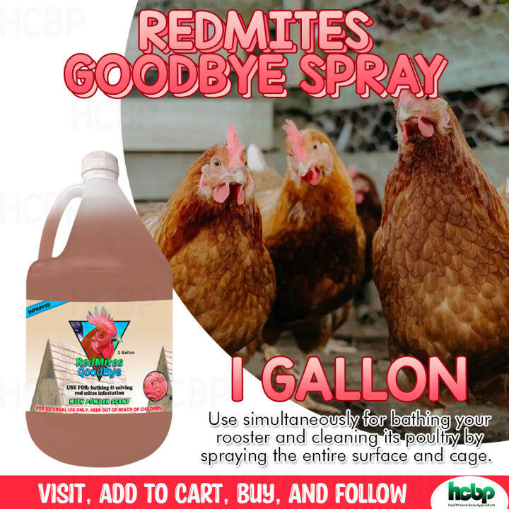 Redmites Goodbye Spray 1 Gallon Natural Redmites Killer ( Pamatay Kuto ...