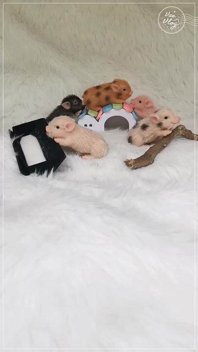 5' AVANI DOLL Full Body Silicone Piglet Cute lifelike Piglet Reborn ...