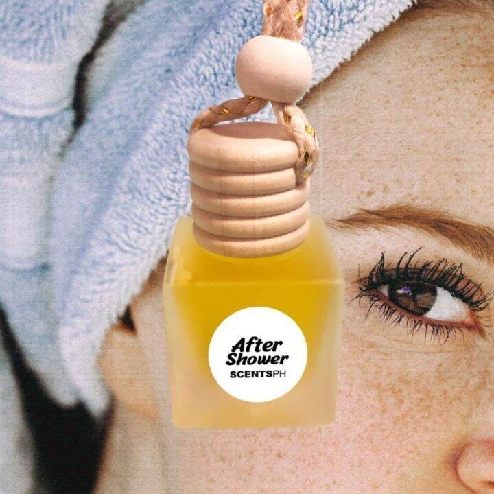 Car Scent Diffuser House Mabango Perfume | Lazada PH