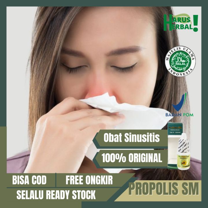 Obat Sinusitis, Obat Pilek Menahun, Obat Hidung Tersumbat Mampet, Obat ...