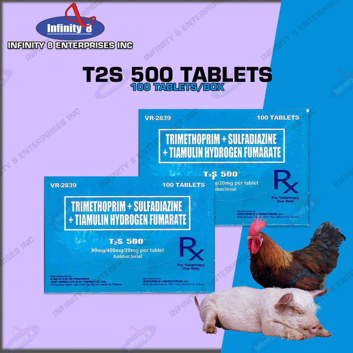 T2S 500 - 100 TABLETS/BOX | Lazada PH