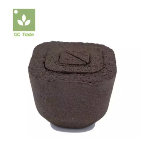 Midorie Malaysia Pafcal 3-in-1 SML (3 different size in 1) | Lazada