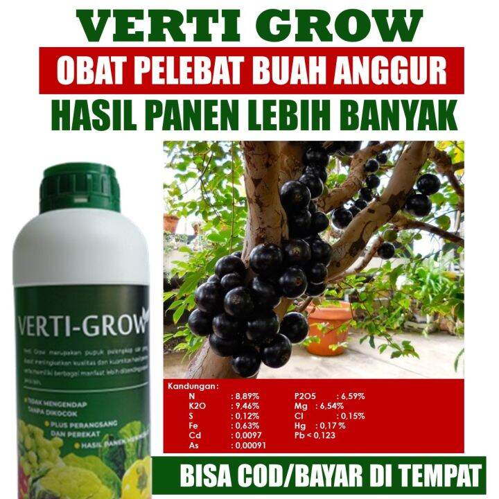 VERTIGROW - Pupuk Organik Cair Pelebat Anggur Padat dan Besar, Obat ...