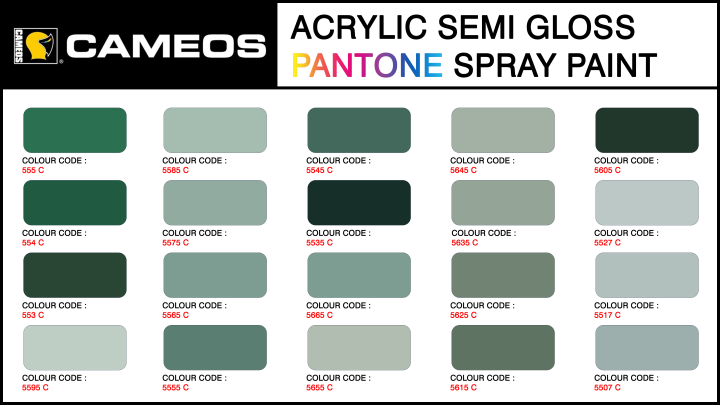 PANTONE Color P62 - Aerosol Spray Paint - CAMEOS 400ML/Bottle | Lazada