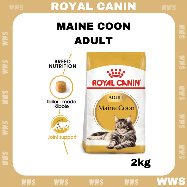 Royal Canin Maine Coon Adult Feline Breed Nutrition Dry Cat Food 2kg Lazada