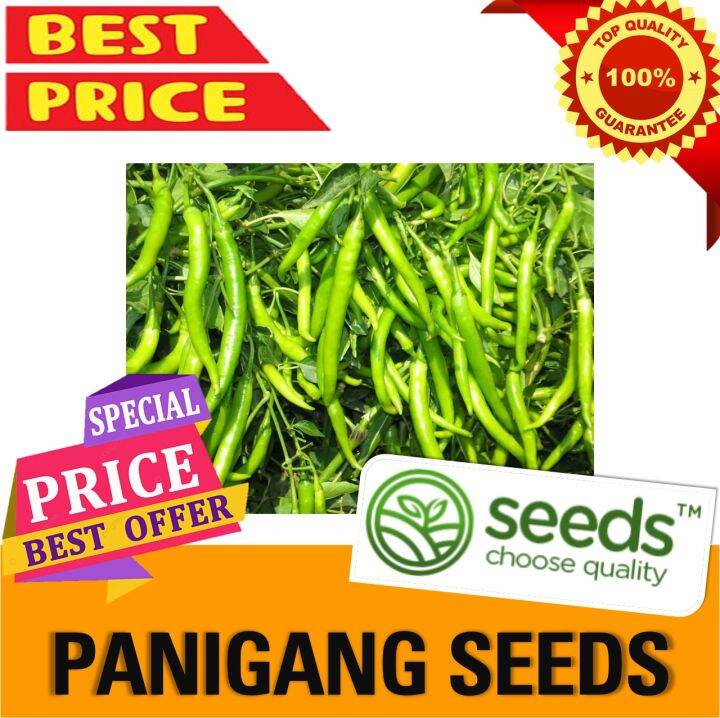 PANIGANG SEED - VALUE PACK SEEDS | Lazada PH