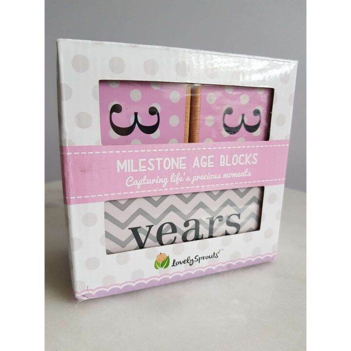 Milestone Age Blocks | Lazada PH