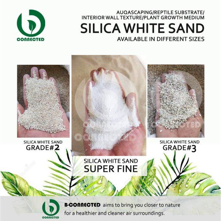 PREMIUM SILICA SAND WHITE (SUPER FINE - 1KILO) BY BCONNECTED / AQUARIUM ...