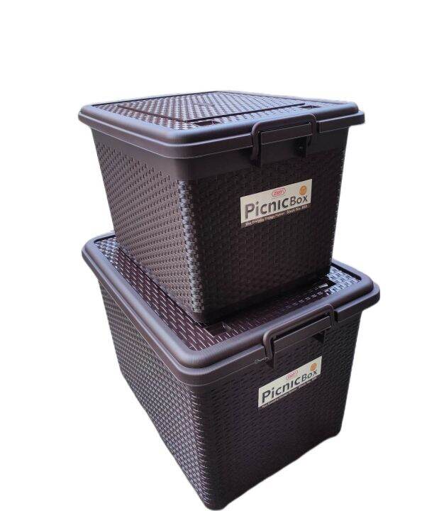 STORAGE BOX Zooey Rattan Picnic Box Storage Box | Lazada PH