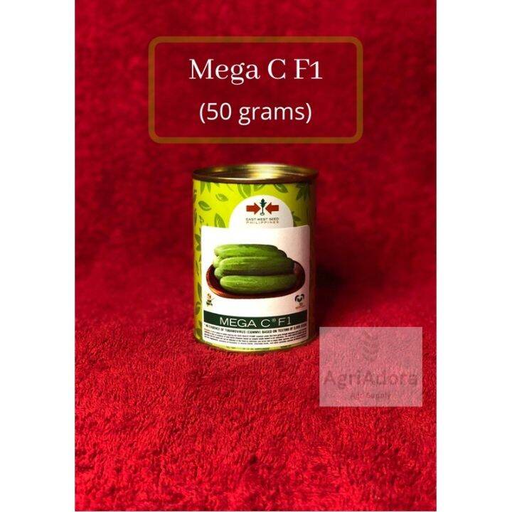 Hot MEGA C F1 Hybrid Seeds 50grams (East-west Seed) Cucumber Seeds ...