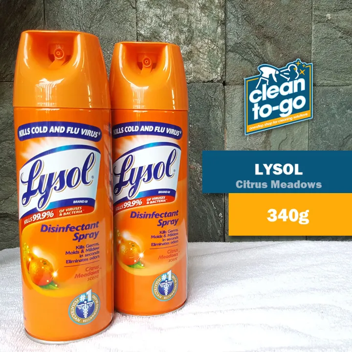 LYSOL Disinfectant Spray With Citrus Meadows Scent 340g Orange (Note ...