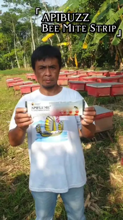 Apibuzz Apiflume 20-Strip Flumethrin Strips Varroa Mite Away Control in ...