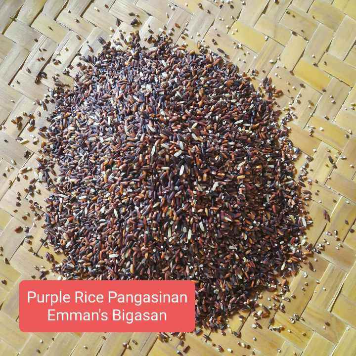 PURPLE RICE PANGASINAN [Emman's Bigasan] | Lazada PH