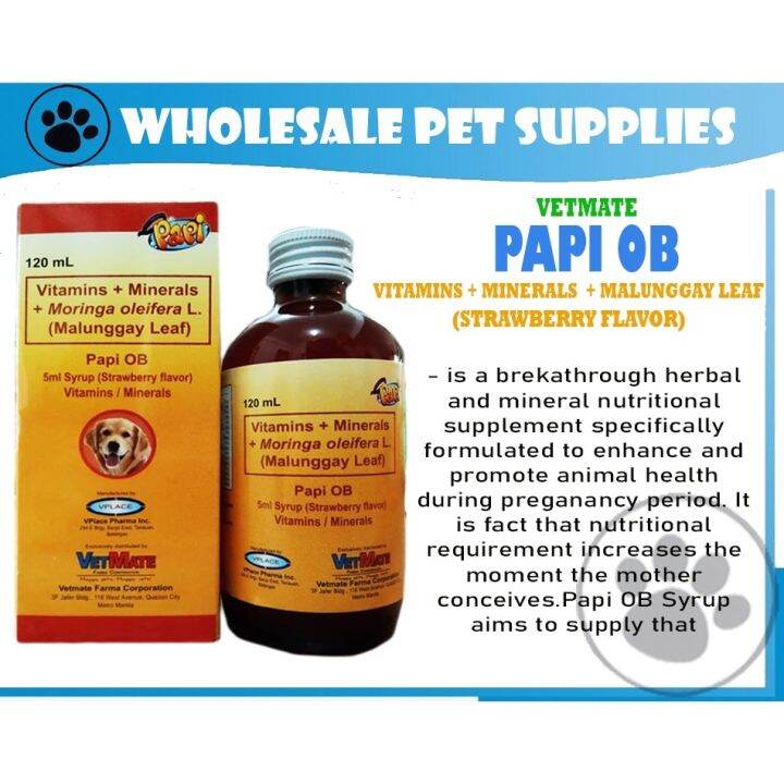 PAPI OB SYRUP (Vitamins Minerals Moringa oleifera L.) 120mL | Lazada PH