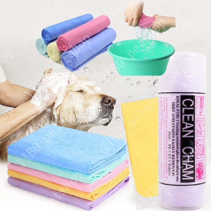 Pet Towel Highly Absorbent and Fast Drying | Lazada PH