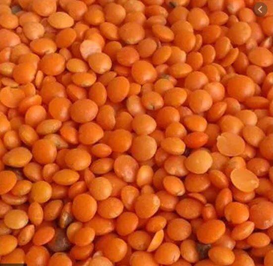 Mysore Dhal / Masor Gota / Dhal Merah | Lazada