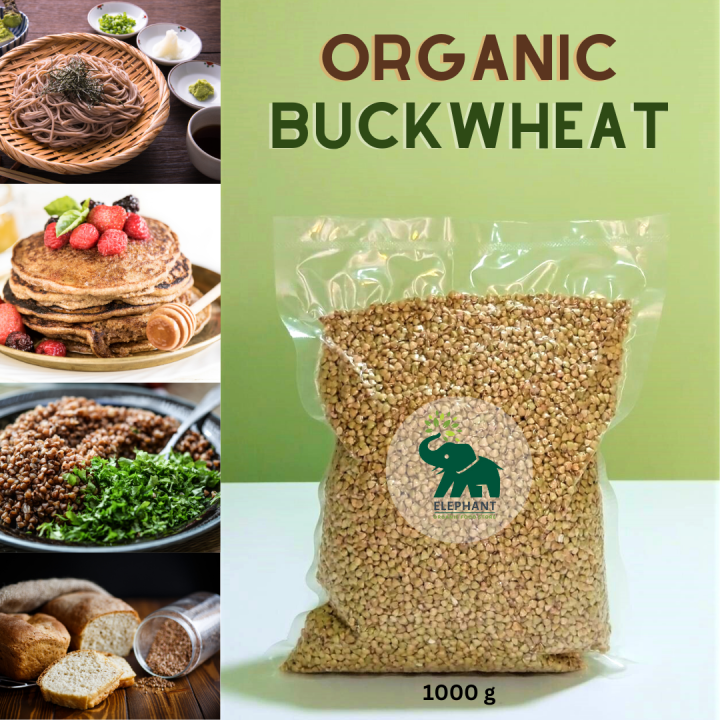 เมล็ดบัควีท บักวีต ออร์แกนิค Organic Green Buckwheat Grains 500g,1000g / Can be sprouting ...