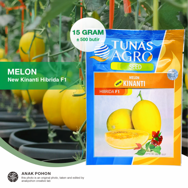 (1 PACK) Benih Melon New Kinanti Hibrida F1 Seeds - Tunas Agro Seed - 15 GRAM | Lazada Indonesia