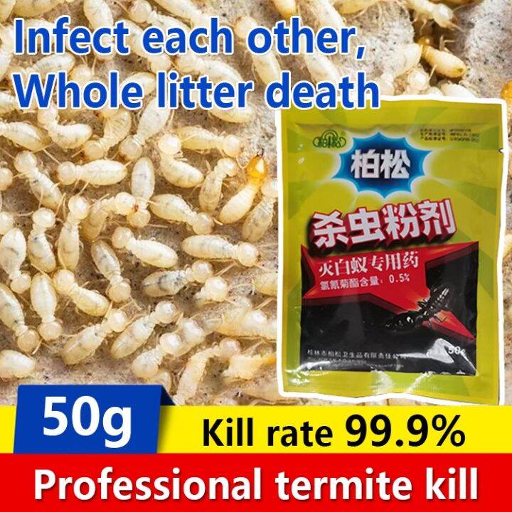 termites killer powder 50g Termite baiting system, ant killer powder ...