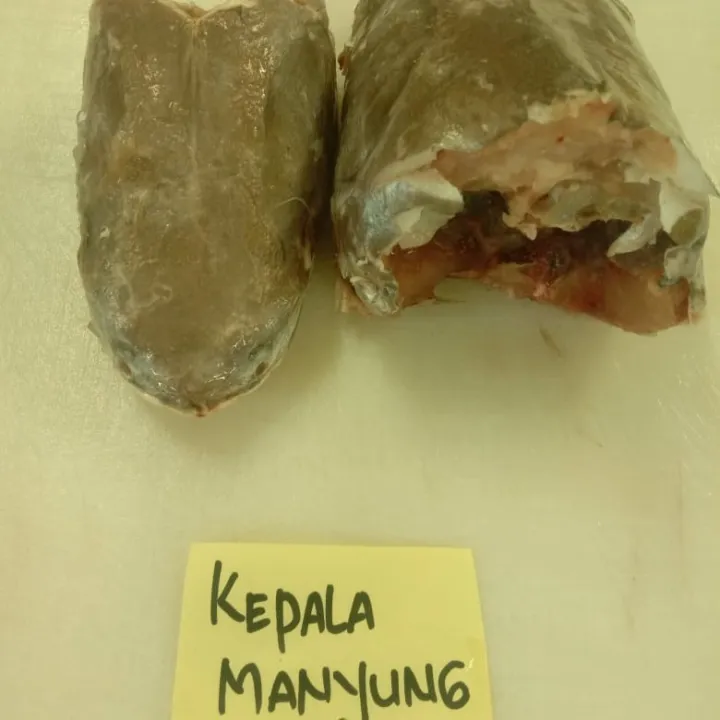 Kepala Ikan Manyung 1 Kg - 22 Seafood | Lazada Indonesia
