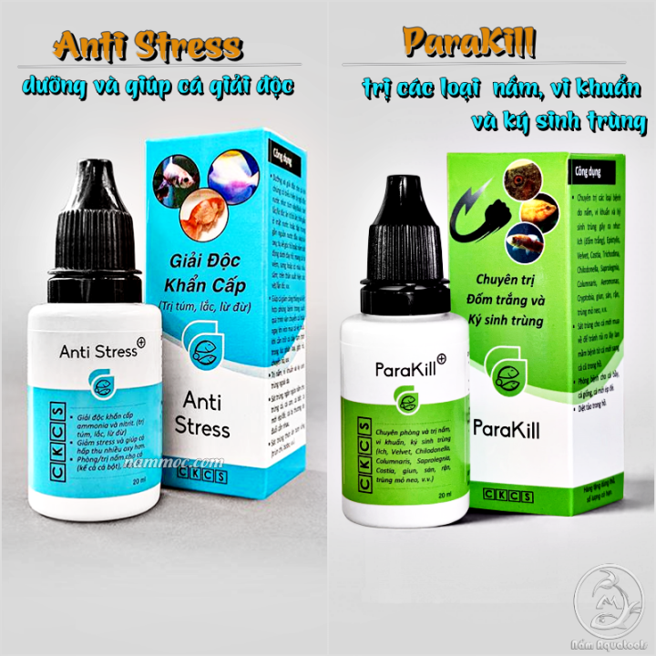 ParaKill & Anti Stress [20mL] || Dưỡng Cá và Phòng Các Loại Nấm Cho Cá ...