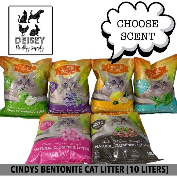 CINDYS RECIPE NATURAL CLUMPING BENTONITE CAT LITTER (10L) | Lazada PH