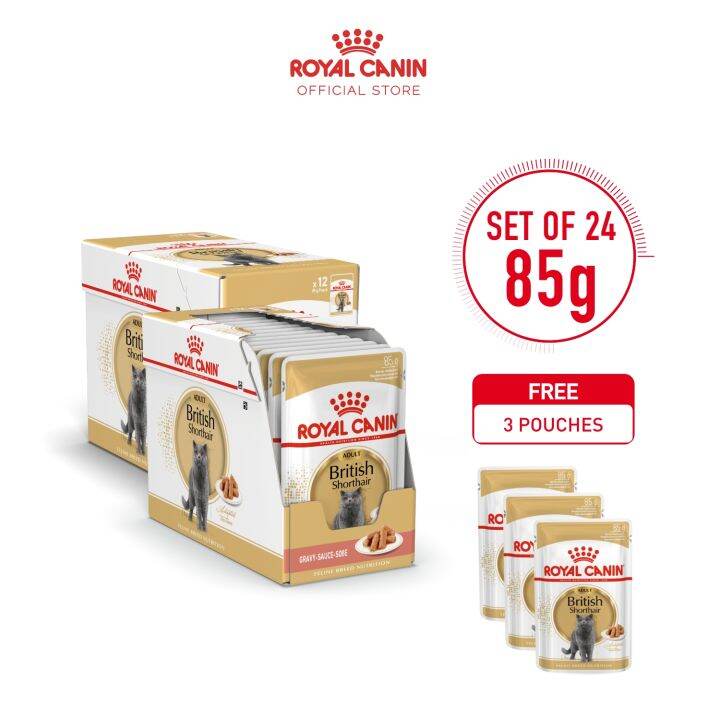Royal Canin British Shorthair Adult Wet Cat Food (85g x 24 pouches) - Feline Breed Nutrition ...