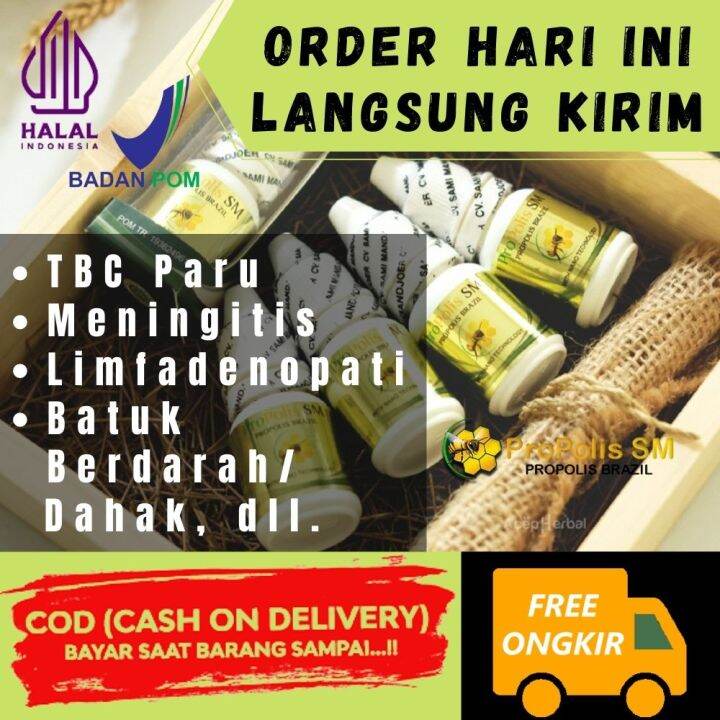 Obat TB Paru Batuk Darah Meningitis Limfadenopati Alami Kejang Demam ...